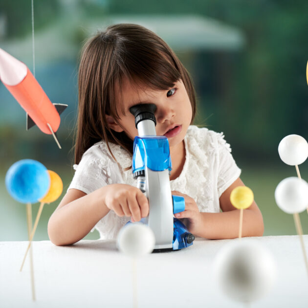 The Learning Tree Early Learning Center | Daycare in Illinois